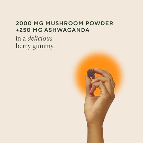 mixed berry mushroom superfood