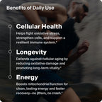Molecular hydrogen supplement for energy boost