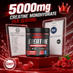 MOLVEXA endurance energy supplement