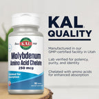 Molybdenum chelated for better absorption