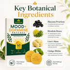 Mood and focus support for busy lifestyles