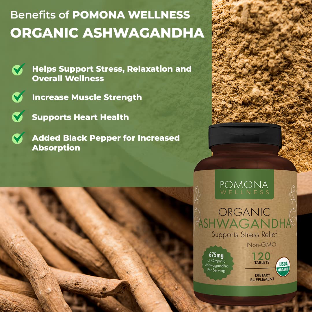 mood enhancer for daily wellness
