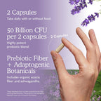 Mood+ Probiotic for digestive health