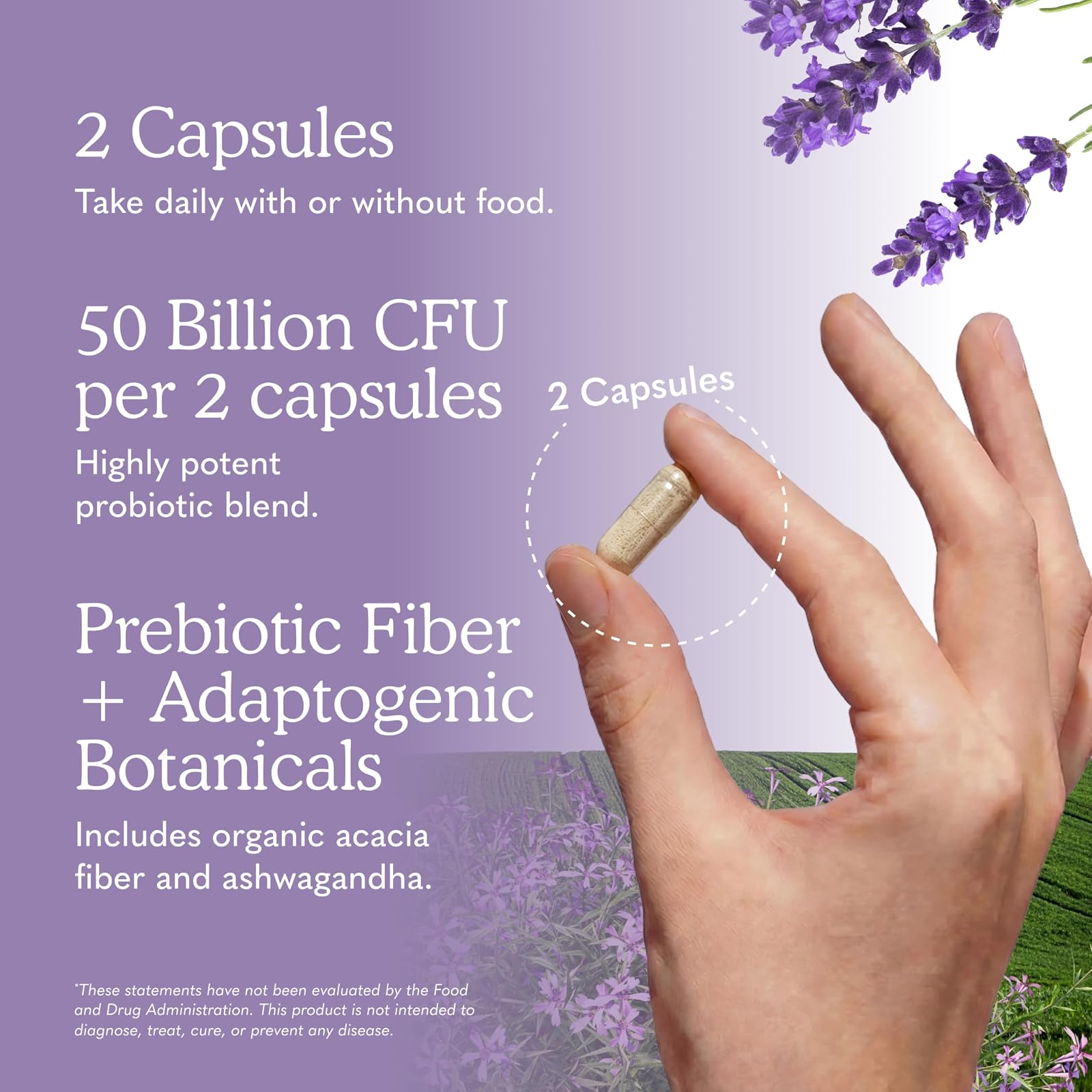 Mood+ Probiotic for digestive health