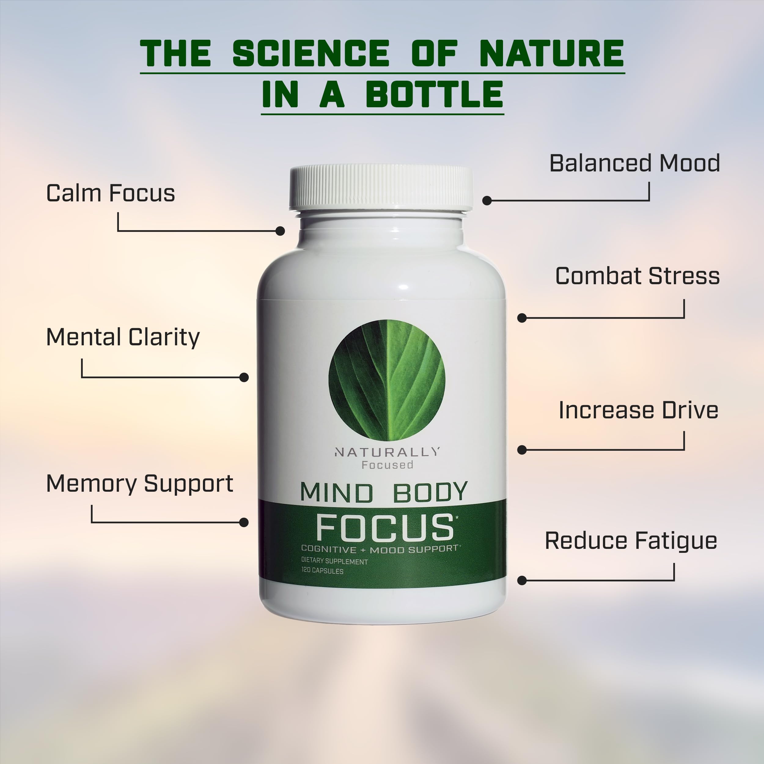mood support blended vitamin supplements