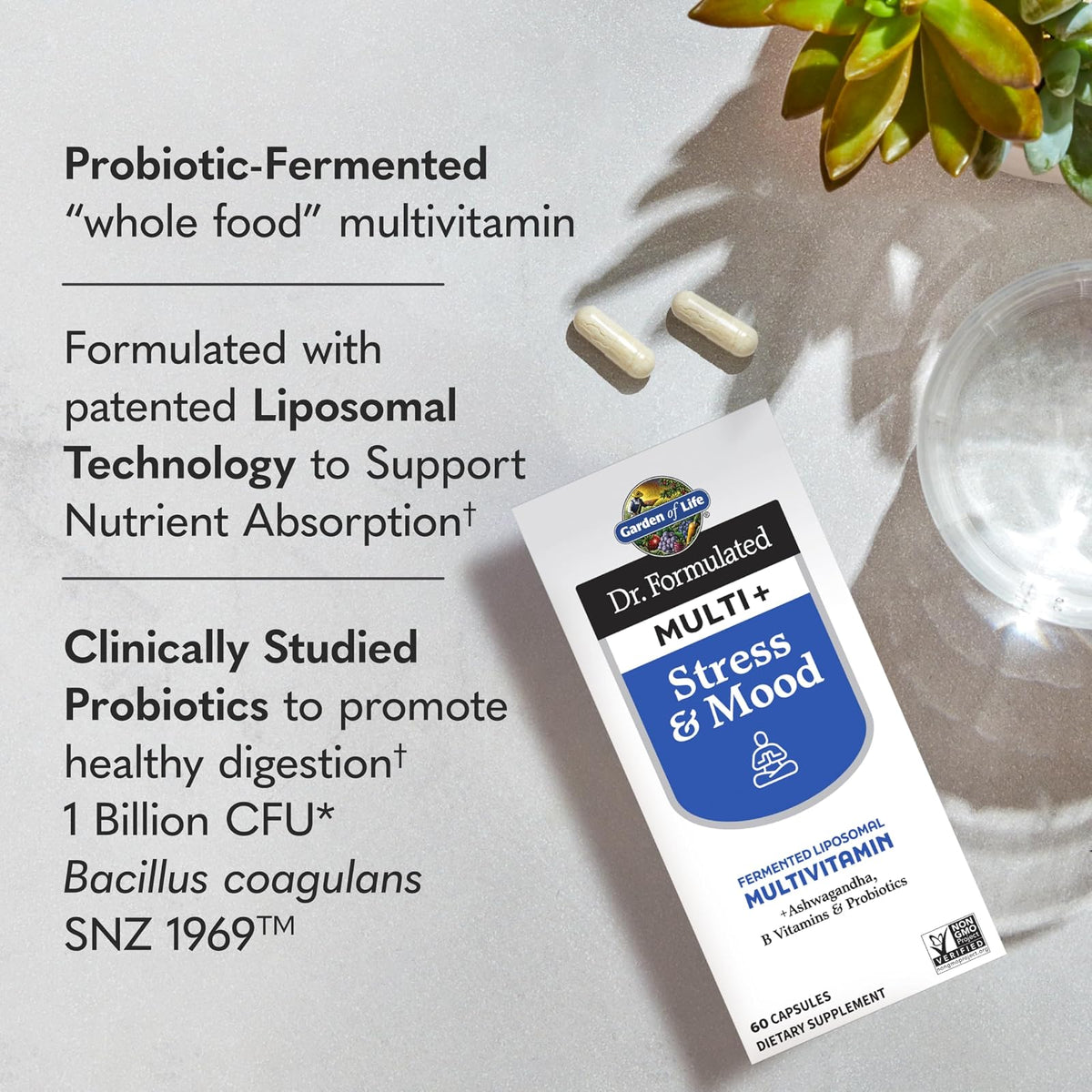 mood support multivitamin capsules