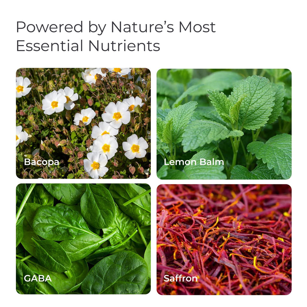 mood support multivitamin for men
