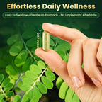 Moringa 1600 mg for daily nutrition