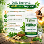 Moringa capsules for active lifestyle