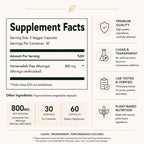 Moringa capsules for daily nutrition