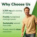 Moringa capsules for daily nutrition