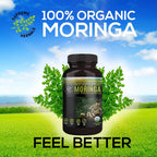 Moringa capsules for daily nutrition