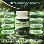 moringa capsules for daily nutrition