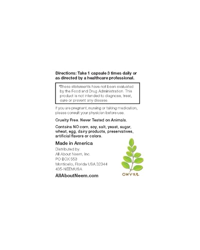 moringa capsules for daily vitality