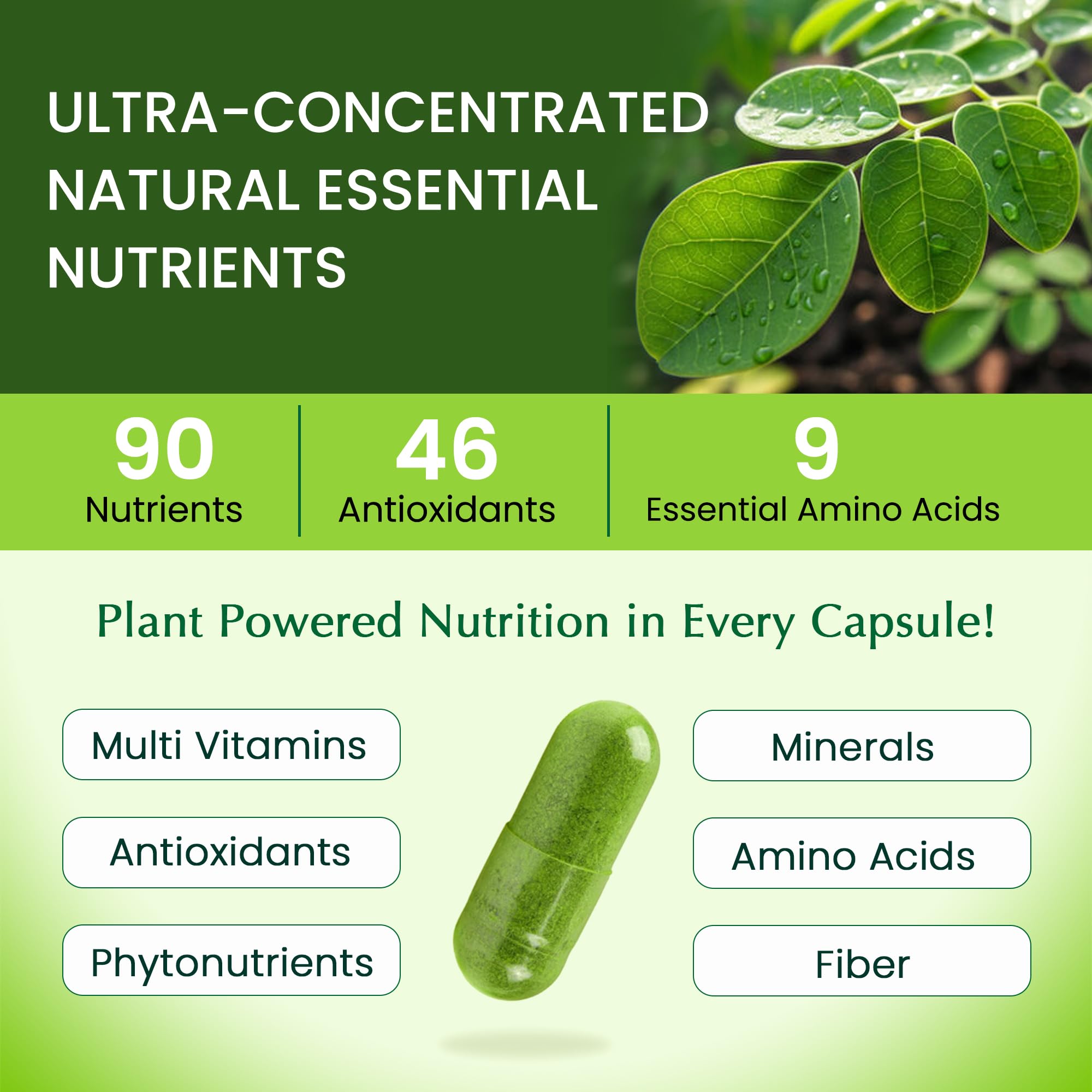 moringa capsules for daily vitality