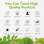 moringa capsules for daily wellness
