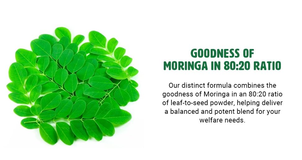 Moringa capsules for digestive health