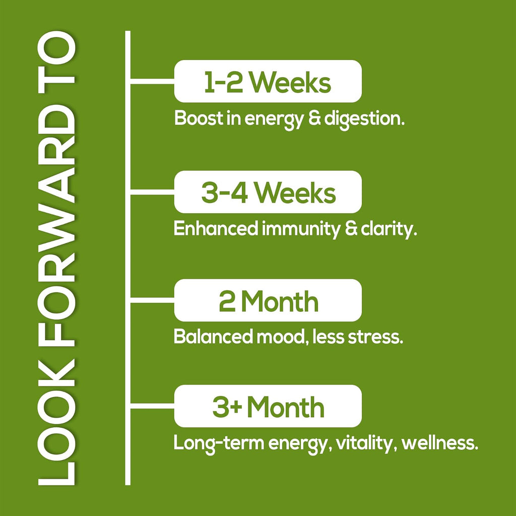 moringa capsules for energy boost