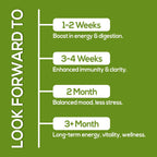 moringa capsules for energy boost