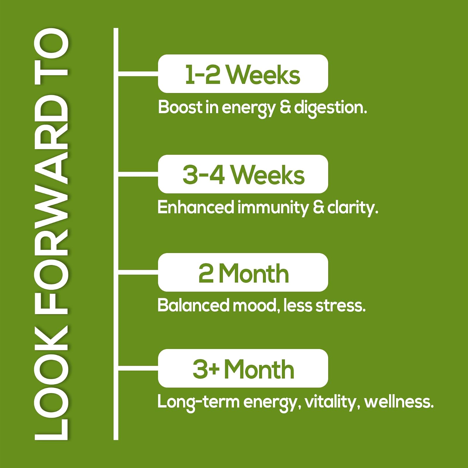 moringa capsules for energy boost