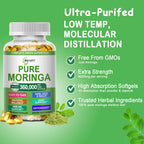 moringa capsules for energy boost