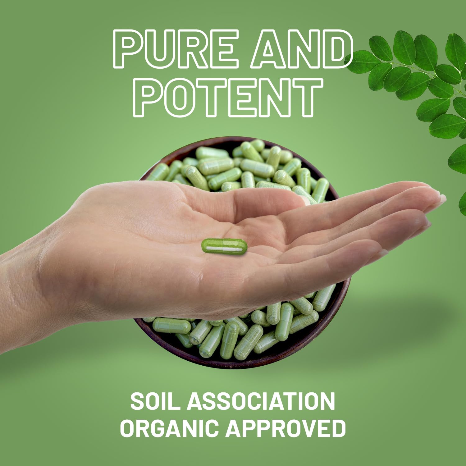 Moringa capsules for healthy lifestyle