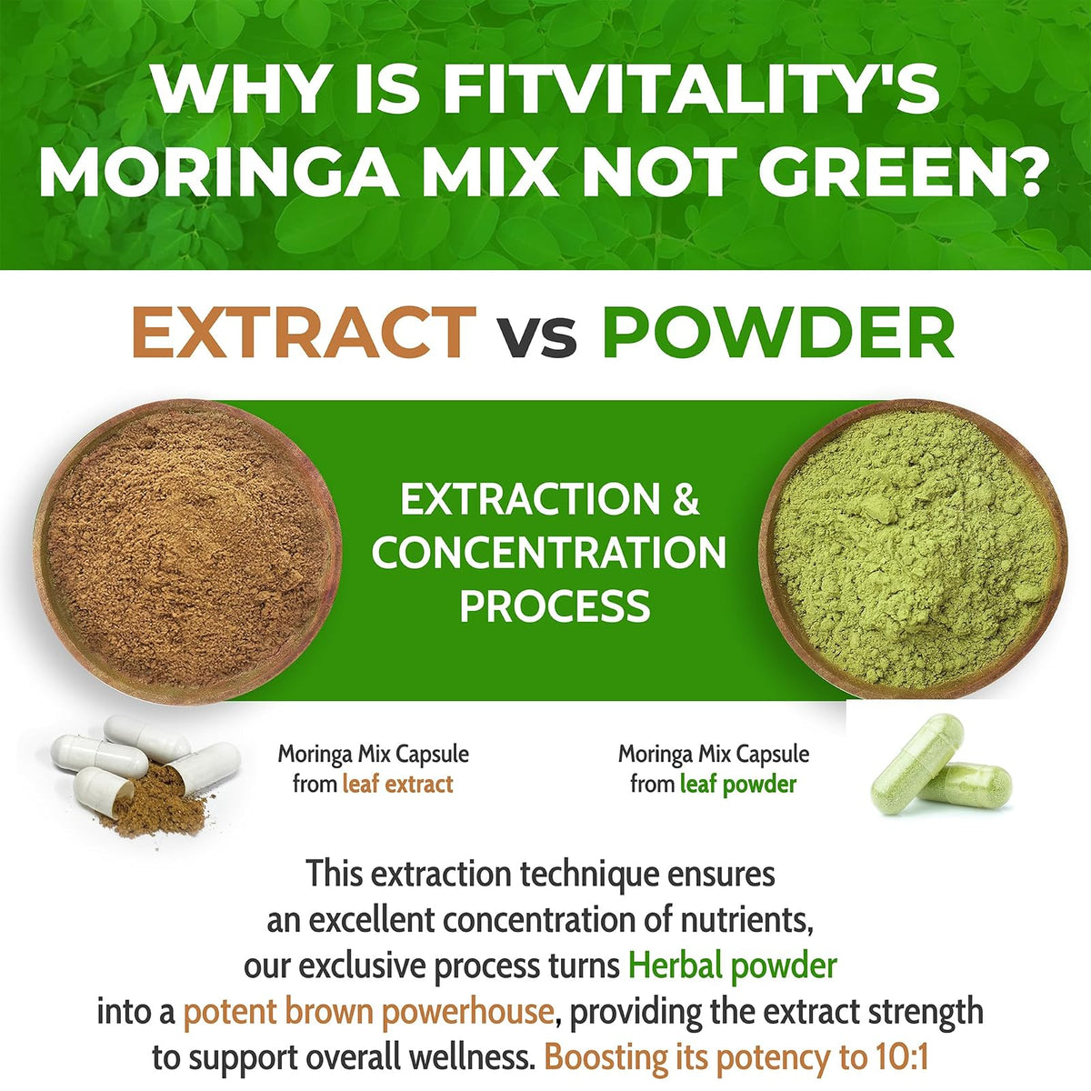 Moringa capsules for immune support