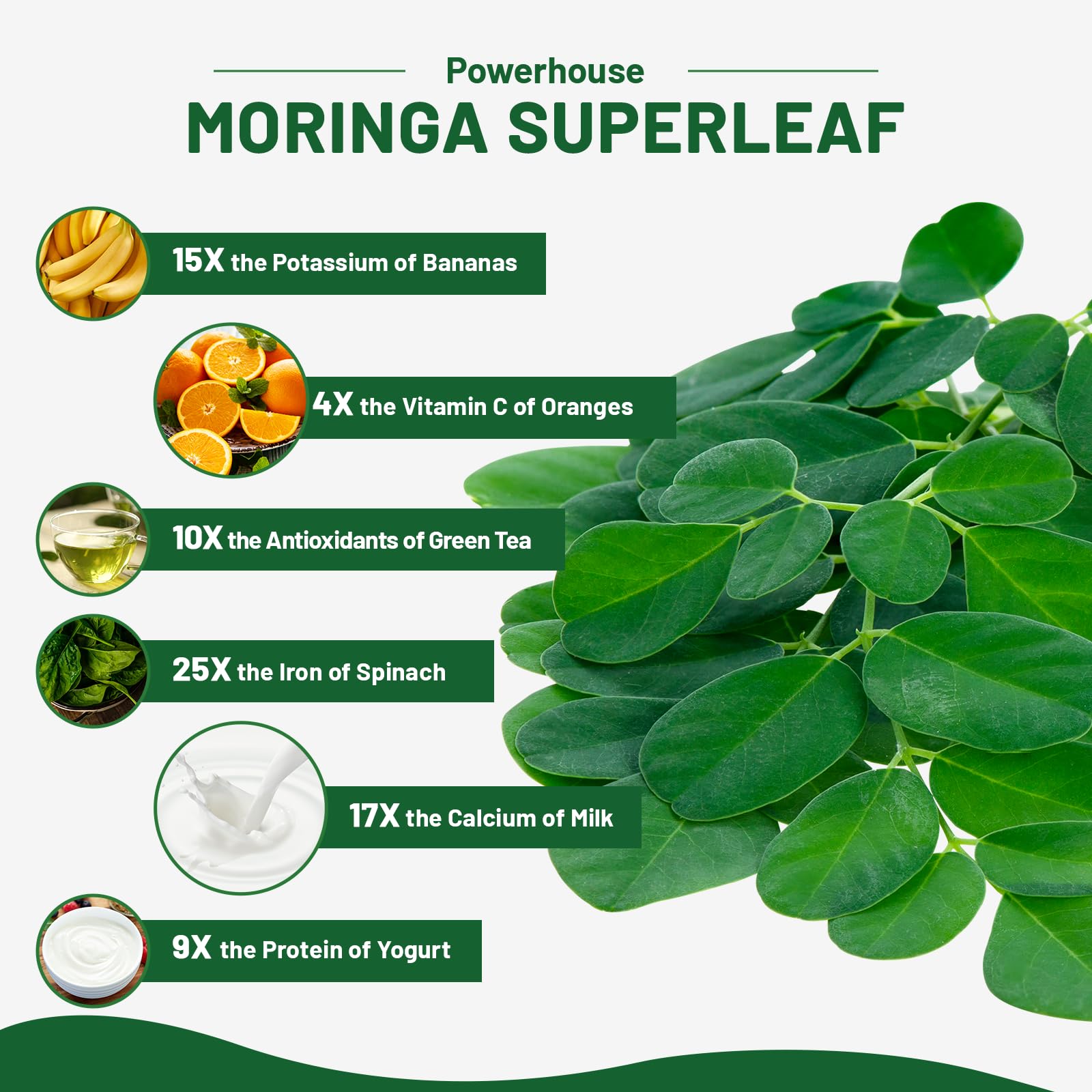 Moringa capsules for immune support