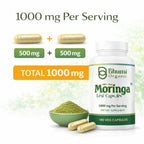 Moringa capsules for immune support