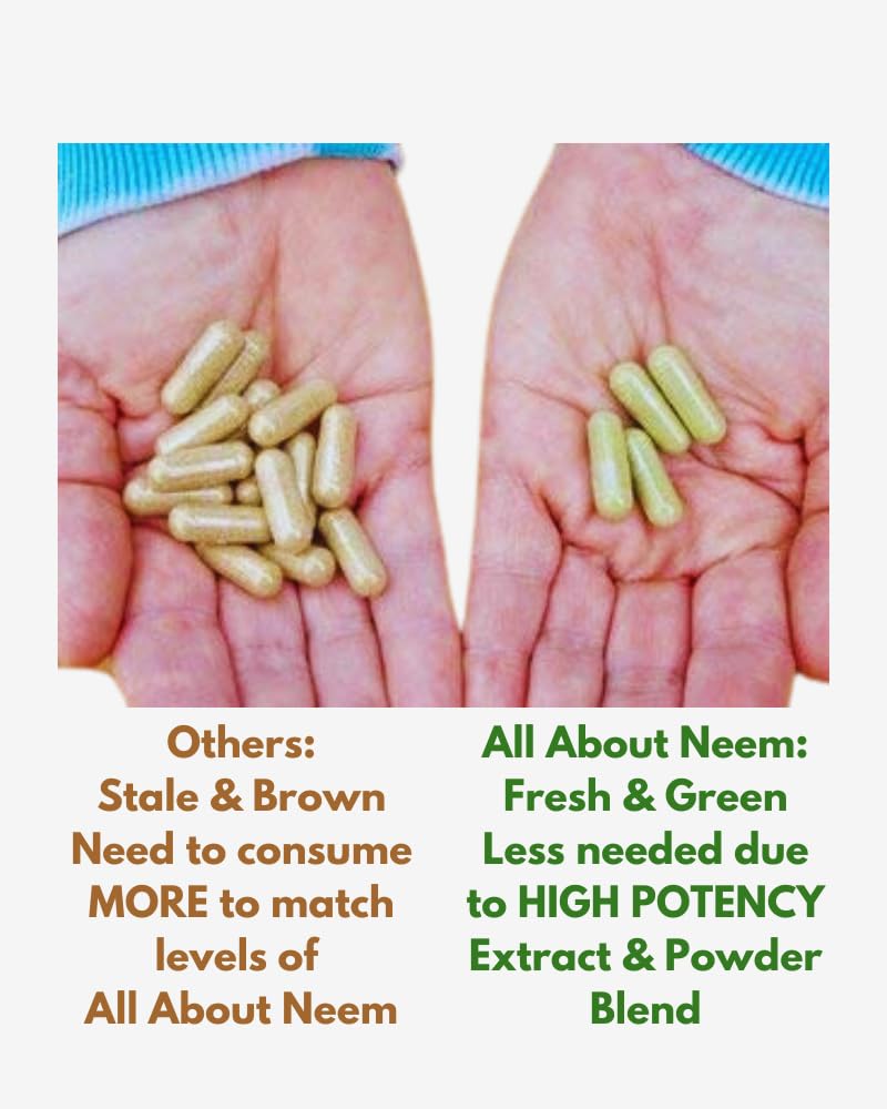 Moringa capsules for immune support
