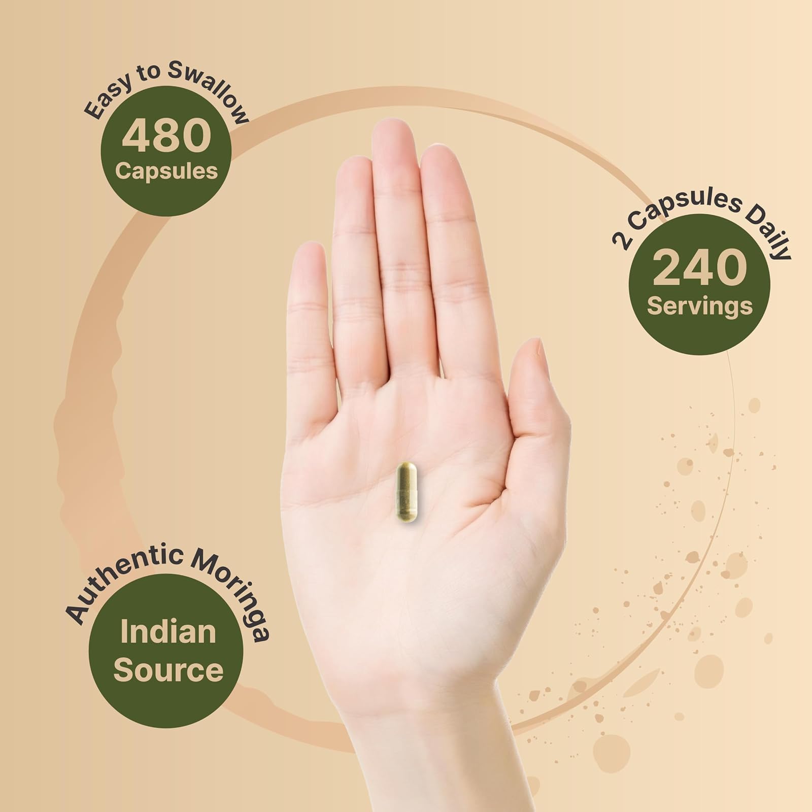 Moringa capsules for immune support
