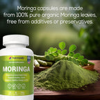 moringa capsules for immune support