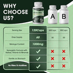 moringa capsules for immune support