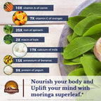 moringa capsules for immune support