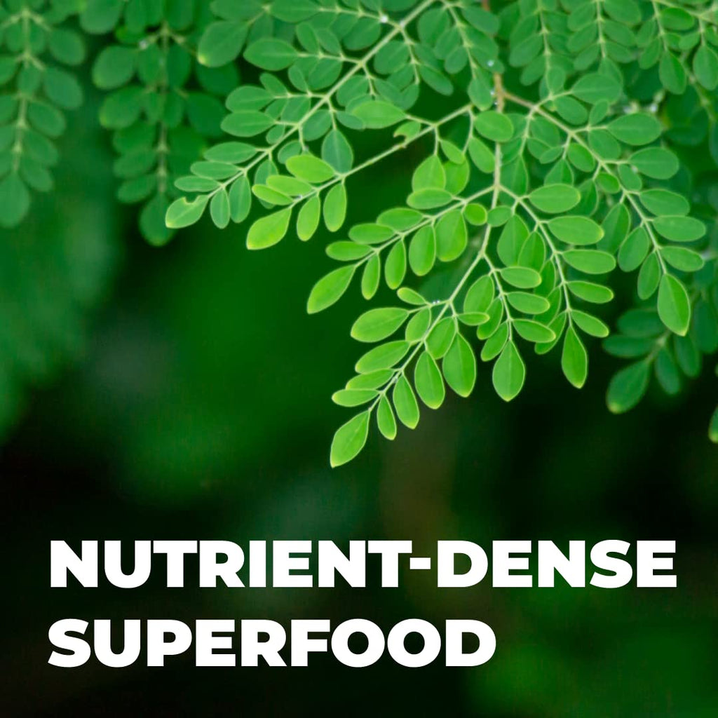 Moringa capsules for immune system support