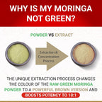 moringa capsules for natural health