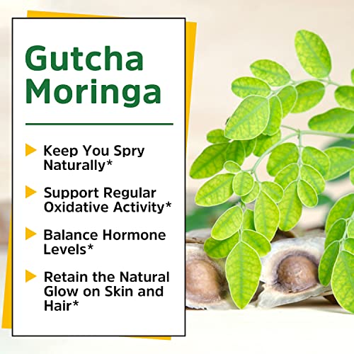 Moringa capsules for natural vitality