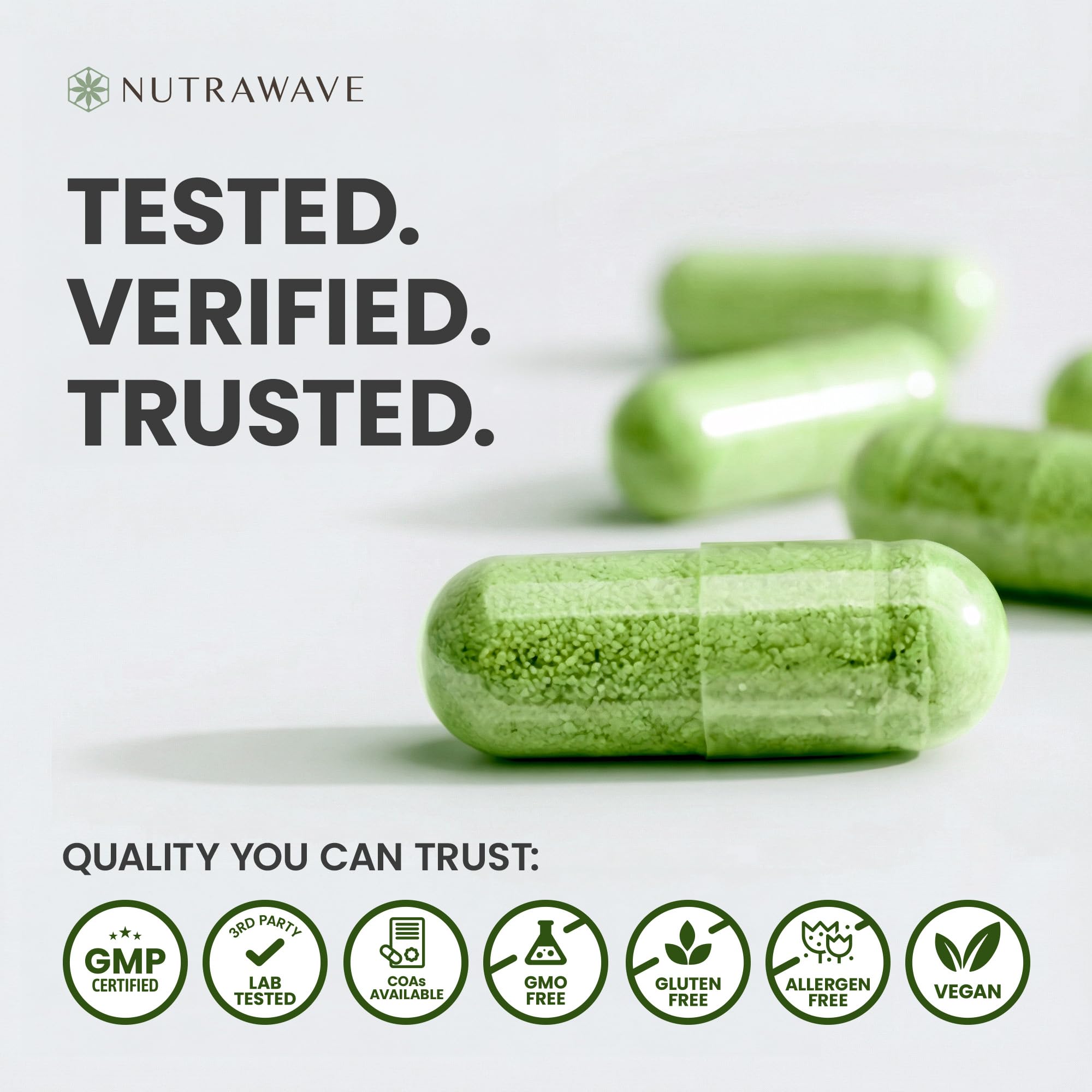 moringa capsules for nutritional support