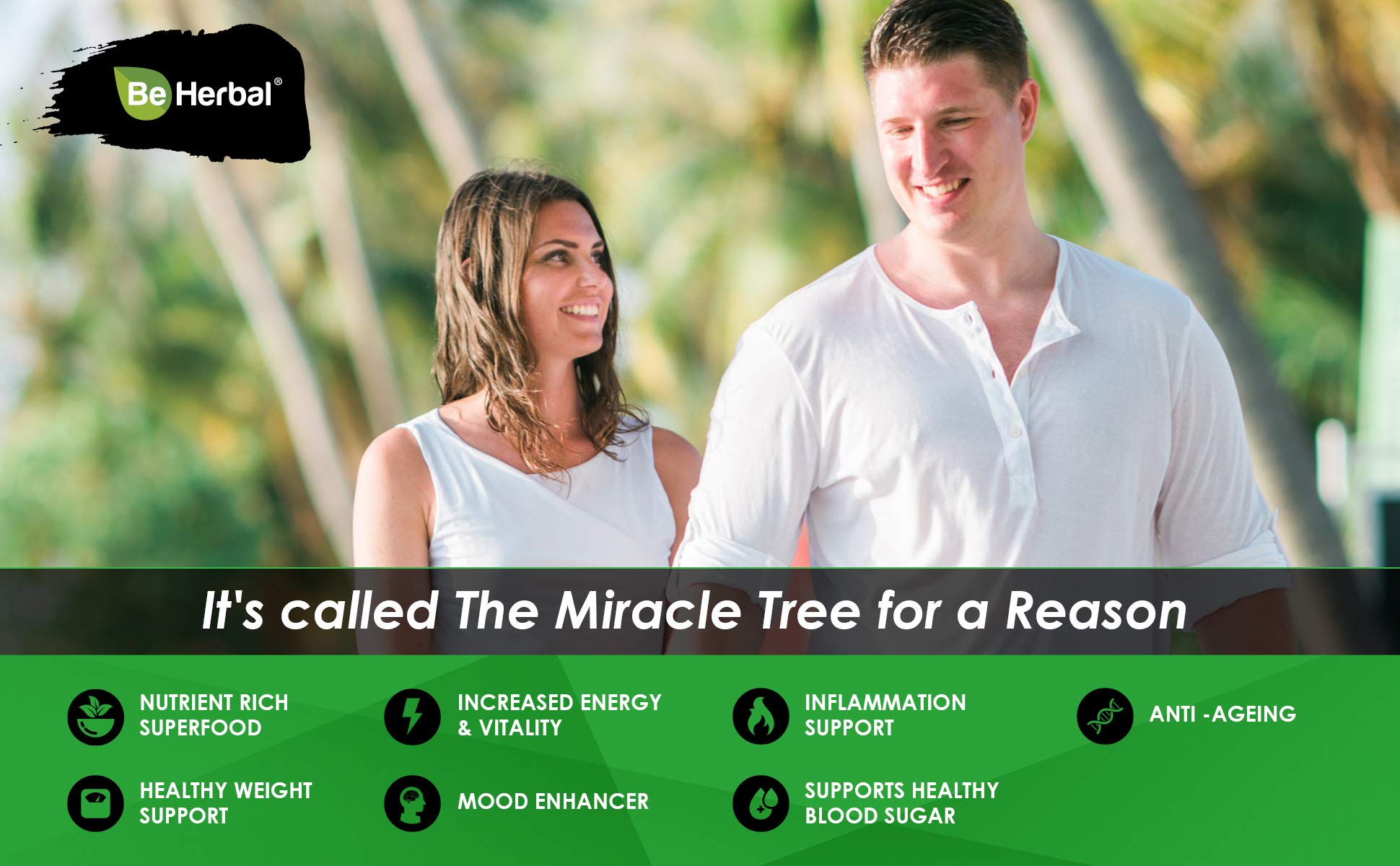 moringa capsules for overall health