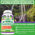 moringa capsules for overall wellness