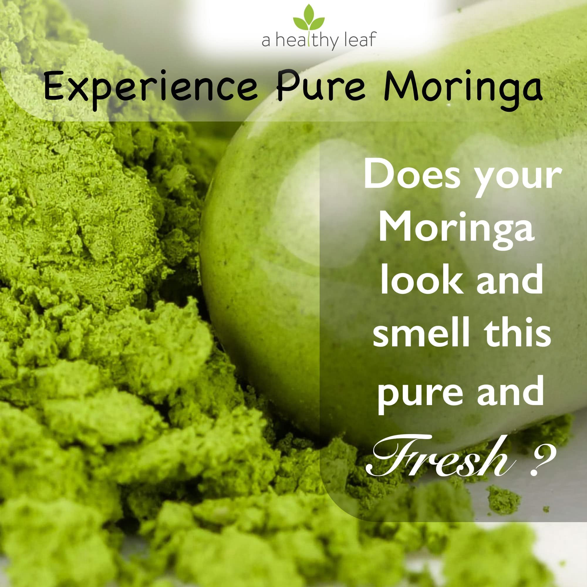 moringa capsules for overall wellness