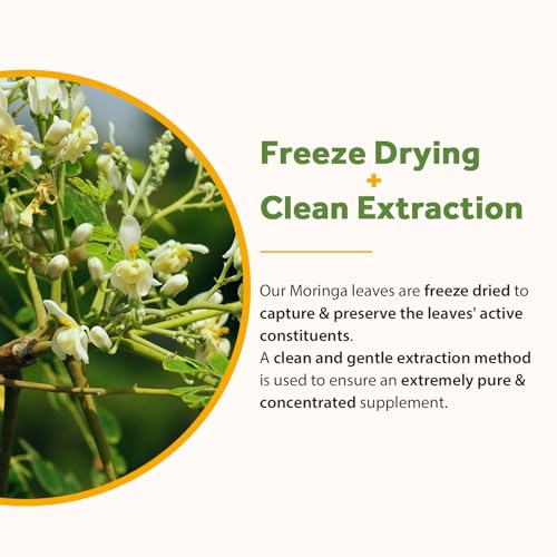 moringa capsules for stress relief