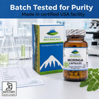 moringa capsules for wellness