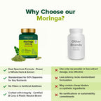 moringa capsules rich in nutrients