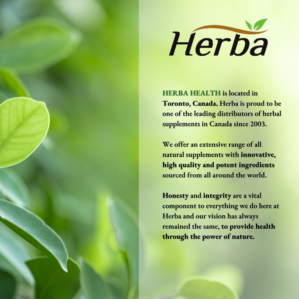 moringa capsules with essential vitamins