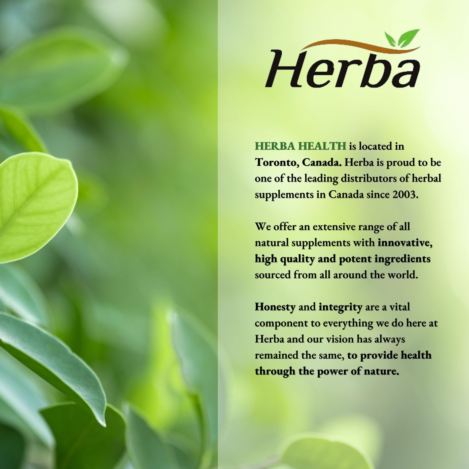 moringa capsules with essential vitamins