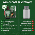 Moringa drops for daily nutrition