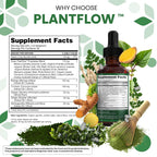 Moringa drops for immune support