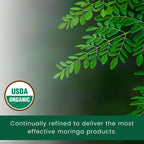 moringa extract for daily nutrition