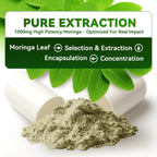Moringa extract for immune health